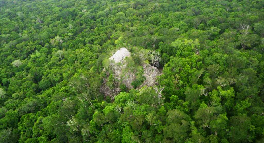 Descubre la impresionante ciudad maya El Mirador: Historia, cultura y ... Descubre la impresionante ciudad maya El Mirador: Historia, cultura y ...